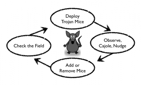 embracing perpetual beta – Harold Jarche