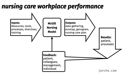 nursing care performance analysis case study – Harold Jarche