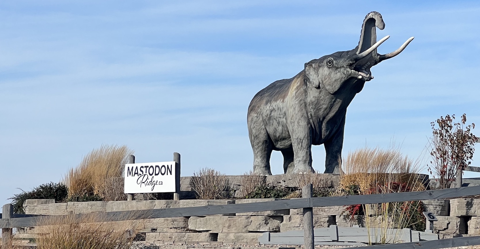 Meet me on Mastodon – Harold Jarche
